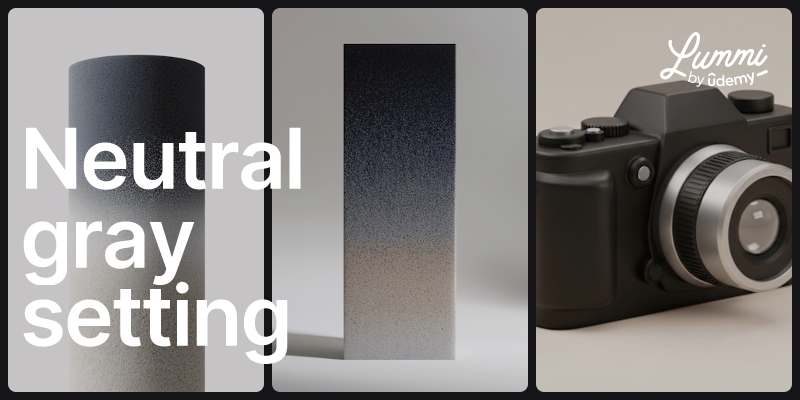 Neutral Gray Setting Images — Free HD Download on Lummi