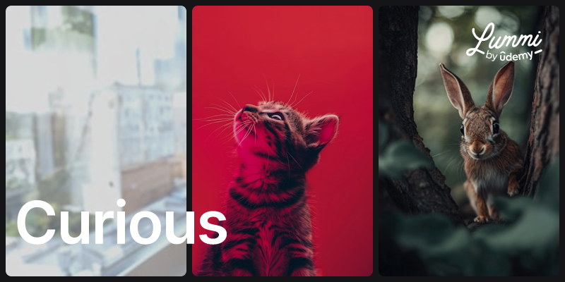 Curious Images — Free HD Download on Lummi