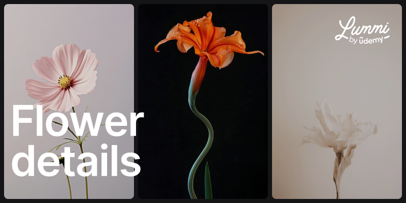 Flower Details Images — Free HD Download on Lummi