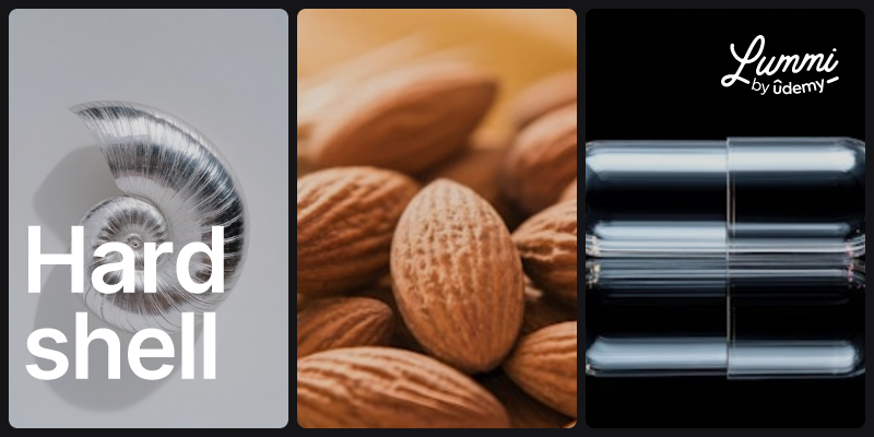 Hard Shell Images — Free HD Download on Lummi