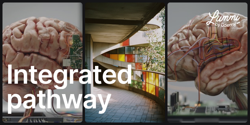Integrated Pathway Images — Free HD Download on Lummi