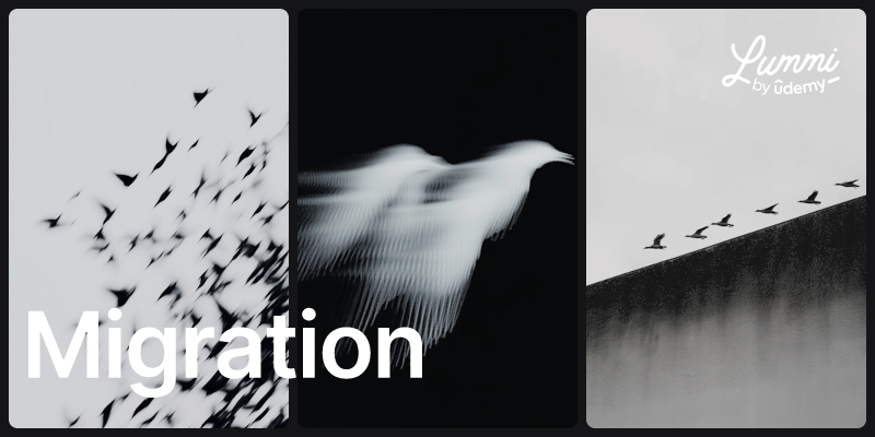 Migration Images — Free HD Download on Lummi