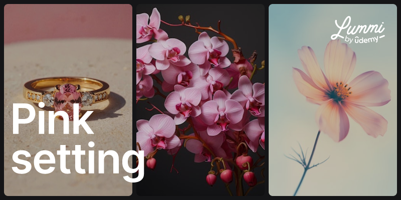 Pink Setting Images — Free HD Download on Lummi