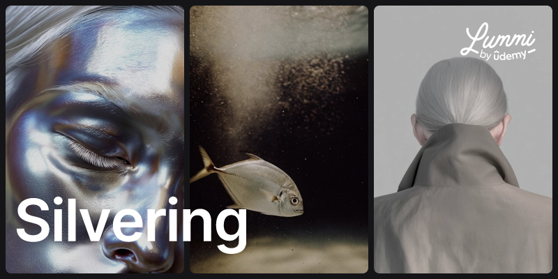 Silvering Images — Free HD Download on Lummi