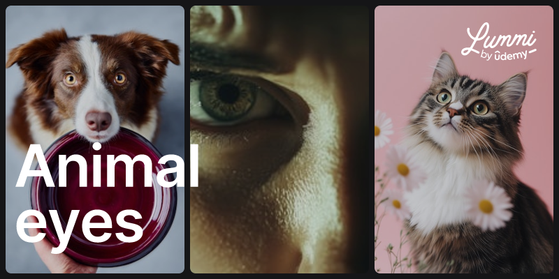 Animal-eyes Images — Free HD Download on Lummi