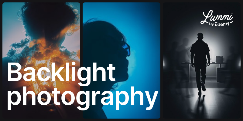 Backlight Photography Images — Free HD Download on Lummi