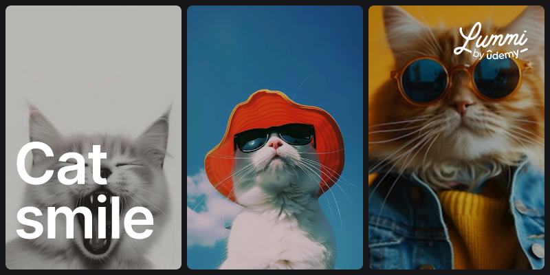 Cat Smile Images — Free HD Download on Lummi