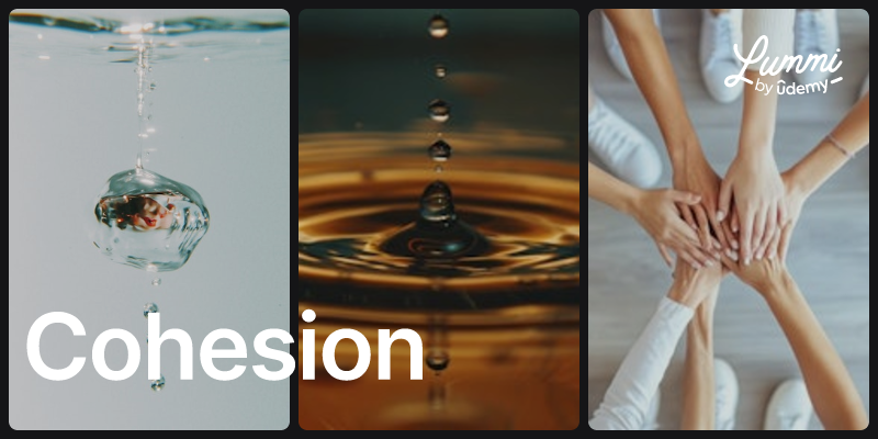 Cohesion Images — Free HD Download on Lummi