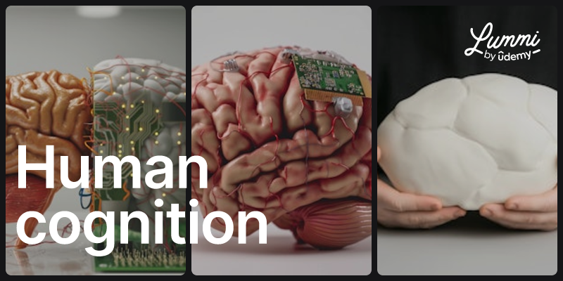 Human Cognition Images — Free HD Download on Lummi
