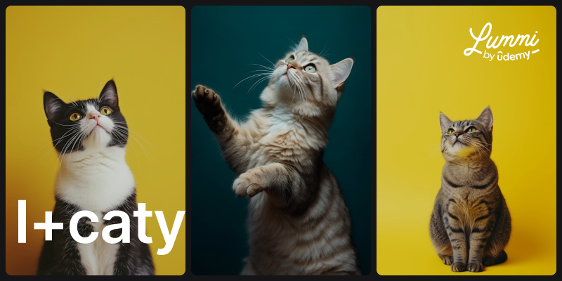 I+caty Images — Free HD Download on Lummi