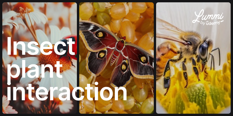 Insect-plant Interaction Images — Free HD Download on Lummi
