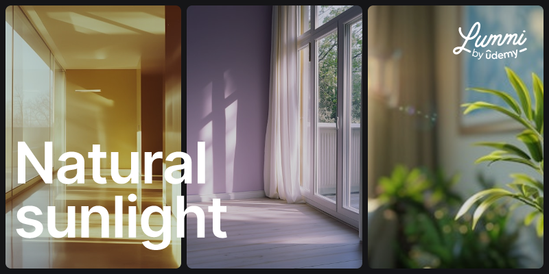 Natural Sunlight Images — Free HD Download on Lummi