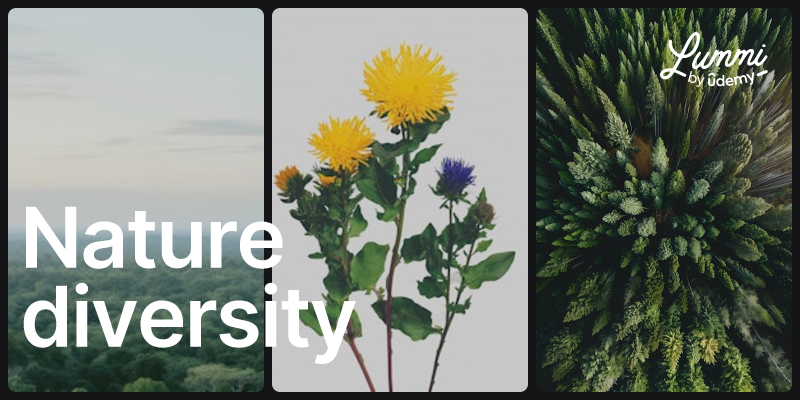 Nature Diversity Images — Free HD Download on Lummi
