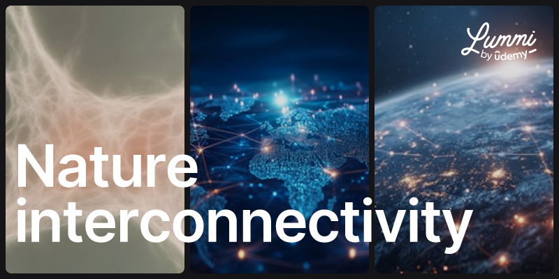 Nature Interconnectivity Images — Free HD Download on Lummi