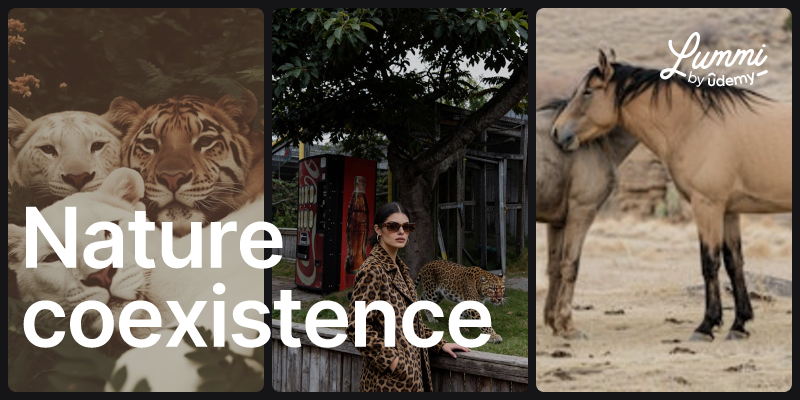 Nature-coexistence Images — Free HD Download on Lummi