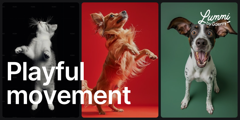 Playful Movement Images — Free HD Download on Lummi