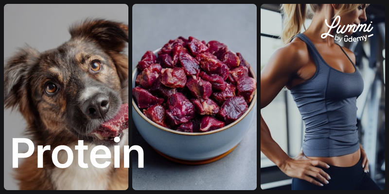 Protein Images — Free HD Download on Lummi