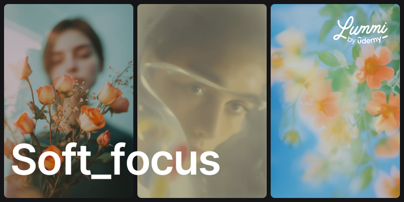 Soft_focus Images — Free HD Download on Lummi