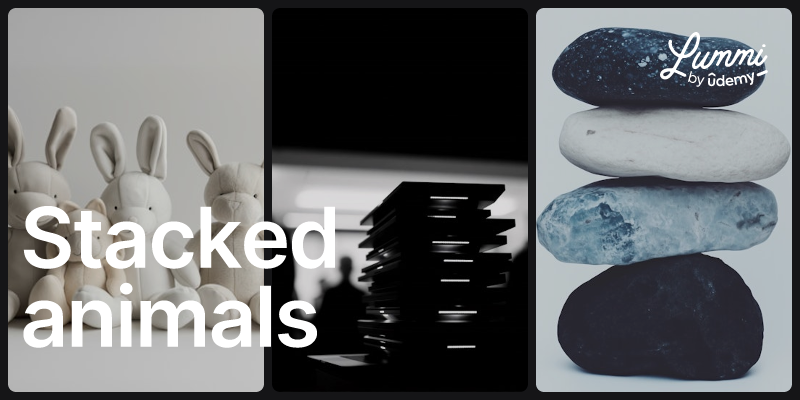 Stacked Animals Images — Free HD Download on Lummi