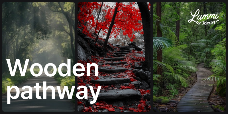 Wooden Pathway Images — Free HD Download on Lummi